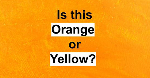 Beautiful Color Quiz Reveals Your True Intelligence Type - David Wolfe Shop