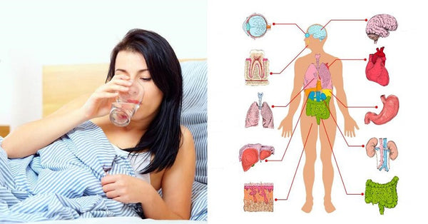 Drink Water First Thing in the Morning for These 5 Reasons! - David Wolfe Shop