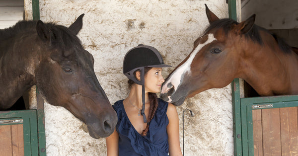 Horses Have Learned How To Communicate With Humans! Here's How! - David ...