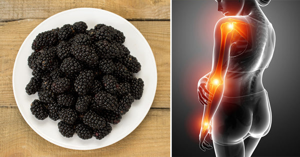 Blackberries: 6 Health Benefits - David Wolfe Shop