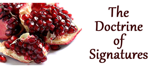Doctrine of Signatures: Probability or Providence? - David Wolfe Shop