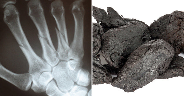 Rehmannia: 5 Health Uses - David Wolfe Shop