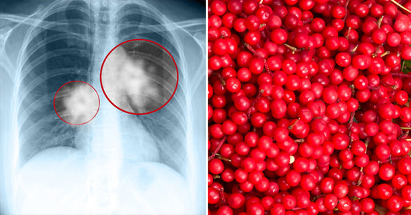 Schizandra Fruit: 10 Health Benefits - David Wolfe Shop