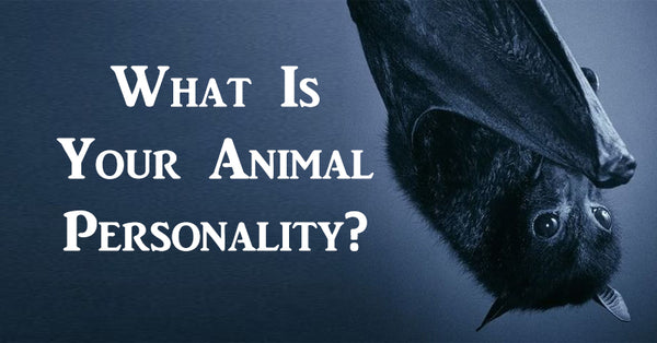 Take This Quiz To Reveal Your Animal Personality! - David Wolfe Shop