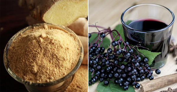 Antiviral Herbs: 10 Natural Solutions To An Array Of Health Concerns ...