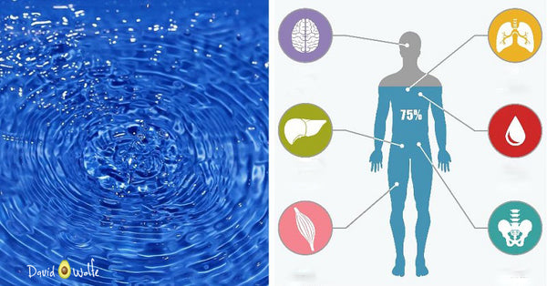 10 Signs Your Body is Telling You to Drink More Water! - David Wolfe Shop