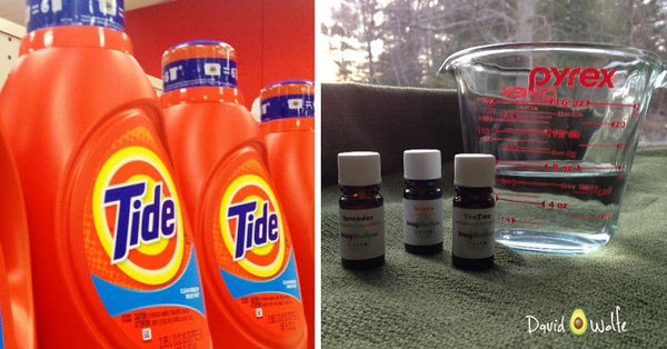 Scented Fabric Softeners and Laundry Detergents are TOXIC. Use This In ...