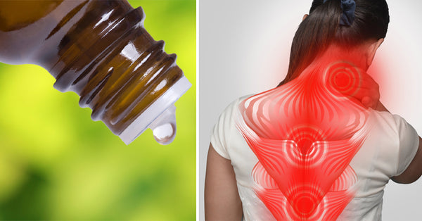 Rub Helichrysum Essential Oil On Your Body To Remove Pain Fast! - David ...