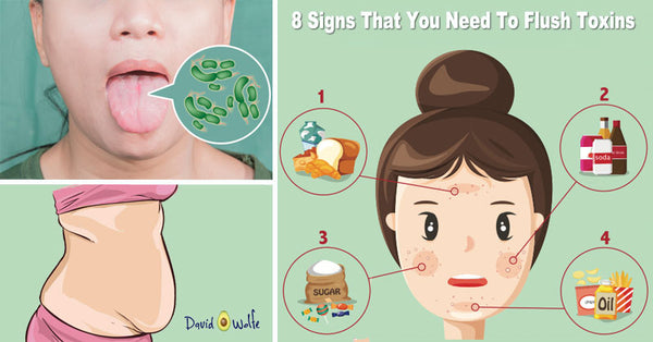 You Need To Flush Toxins From Your Body If You See These Warning Signs ...