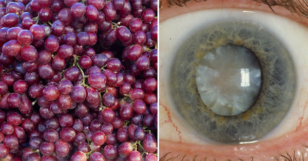 Grape Health Benefits: 14 Reasons To Add More To Your Diet - David ...