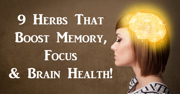 9 Herbs That Boost Memory, Focus & Brain Health! - David Wolfe Shop