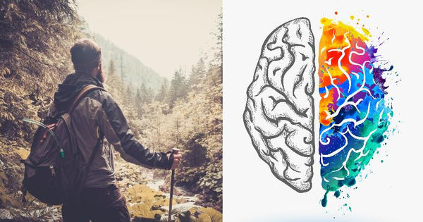 Hiking Changes Your Brain in These 3 Powerful Ways! - David Wolfe Shop