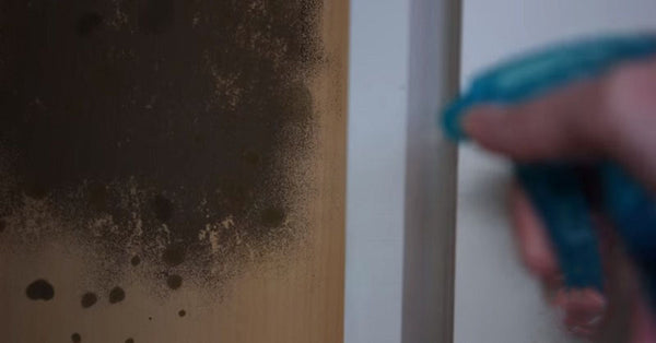 She Sprays THIS Common Household Solution on Some Mold and What Happen ...