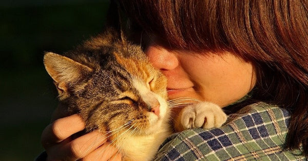 Studies Prove That Showing Compassion For Animals Can Improve Your Hea ...