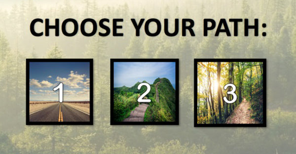 This Simple Quiz Will Determine Your Life Path - David Wolfe Shop