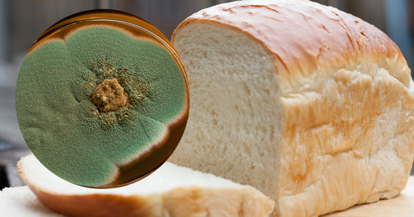 10 Toxic, Moldy Foods That Are Making You Sick! - David Wolfe Shop