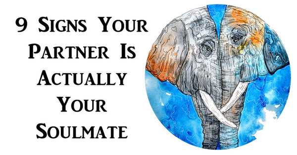 9 Signs Your Partner Is Actually Your Soulmate - David Wolfe Shop