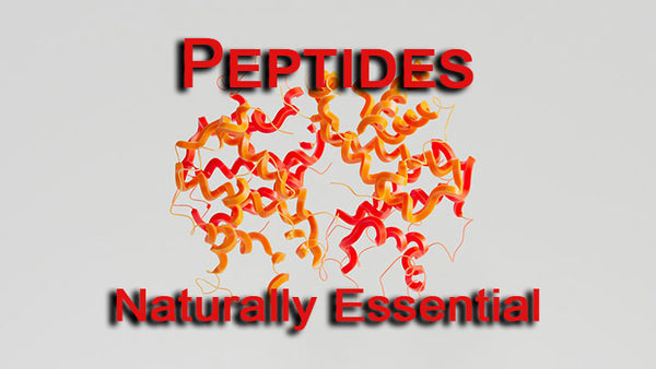 Peptides Support Your Body Naturally! Here's What You Need To Know ...