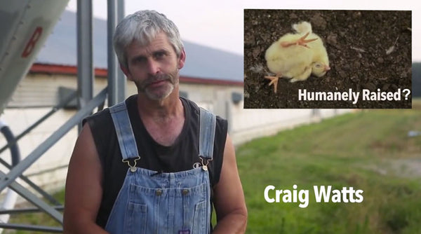 This Perdue chicken farmer was disgusted with industry and bravely let ...