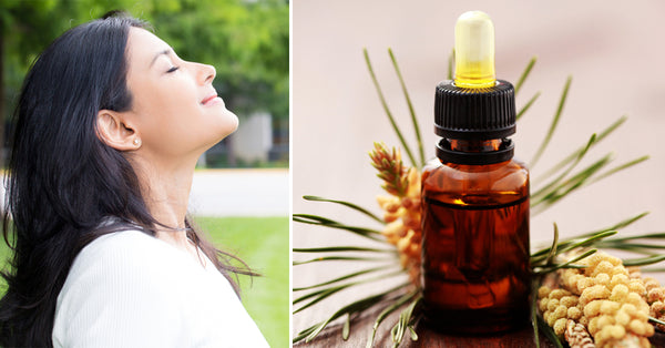 Pine Oil: 10 Benefits & Uses - David Wolfe Shop