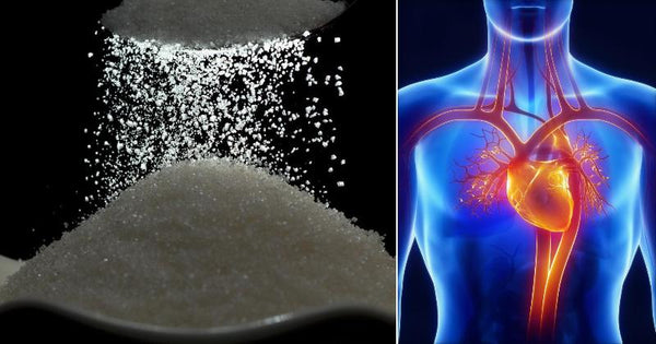 Quit Sugar for 10 Days and THIS Happens to Your Health! - David Wolfe Shop