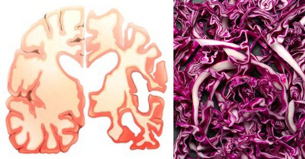 Red Cabbage Benefits: 5 Uses For This Cruciferous Vegetable - David ...
