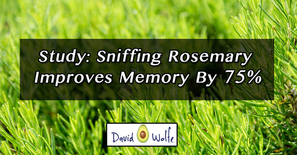 Study: Smelling Rosemary Increases Memory By 75% - David Wolfe Shop