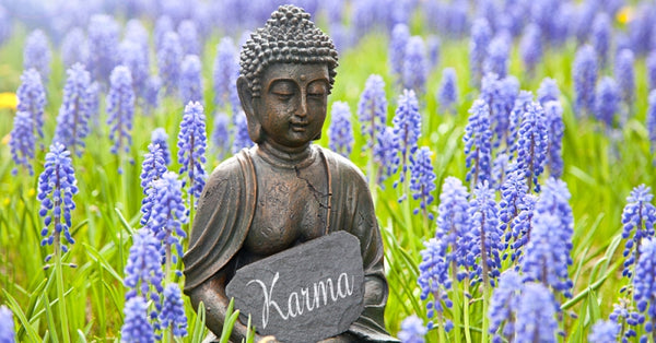 5 Ways to Create Good Karma in Your Life! - David Wolfe Shop