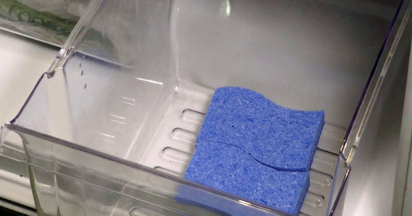This Is Why You Should Put Sponges In Your Refrigerator - David Wolfe Shop