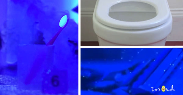 Watch What Happens When You Flush the Toilet with the Lid Up! Disgusti ...