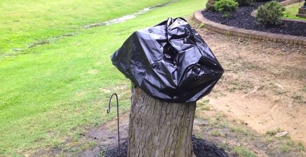 This Couple Turns a Tree Stump Into a Little Magical Fairy House ...