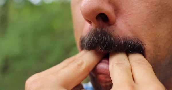 Learn How to Whistle in THESE 4 Simple Steps! - David Wolfe Shop