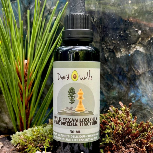 Texas Loblolly Pine Needle Tincture - David Wolfe Shop