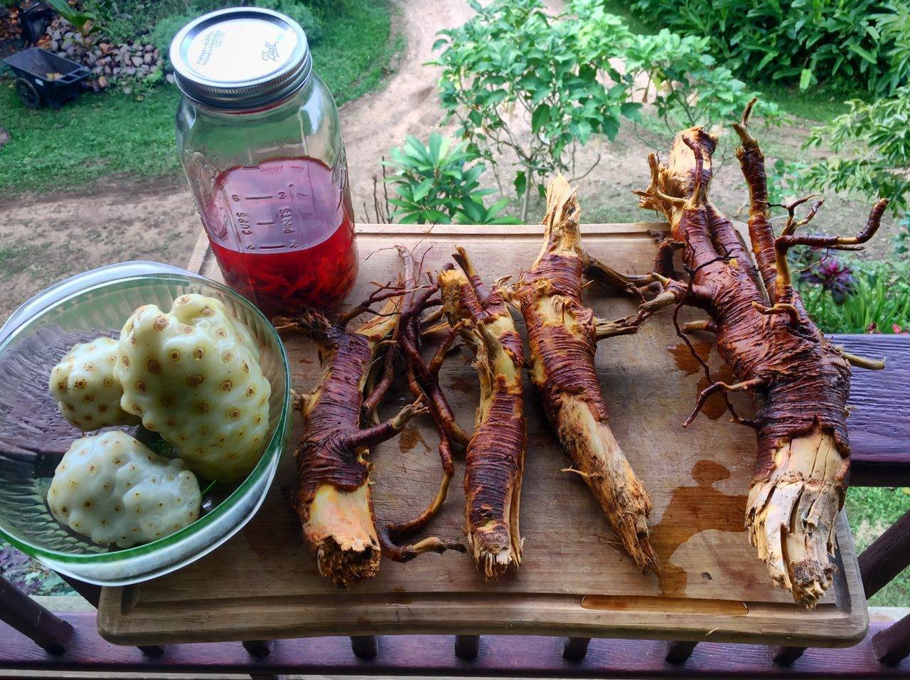 NoniRoot Tincture - David Wolfe Shop